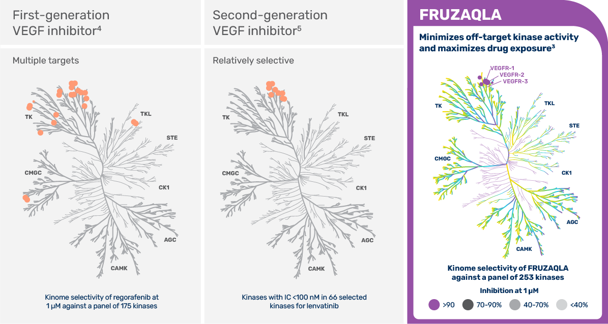 Mechanism of Action for FRUZAQLA® (fruquintinib)